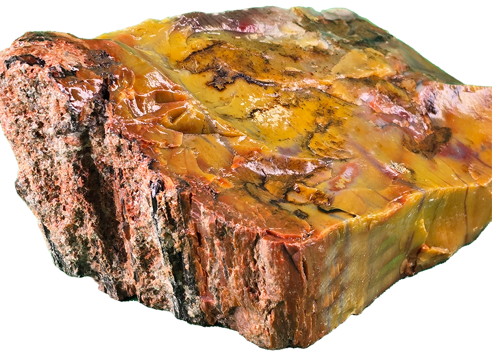 Petrified Wood Chunk - Southwest Crystals