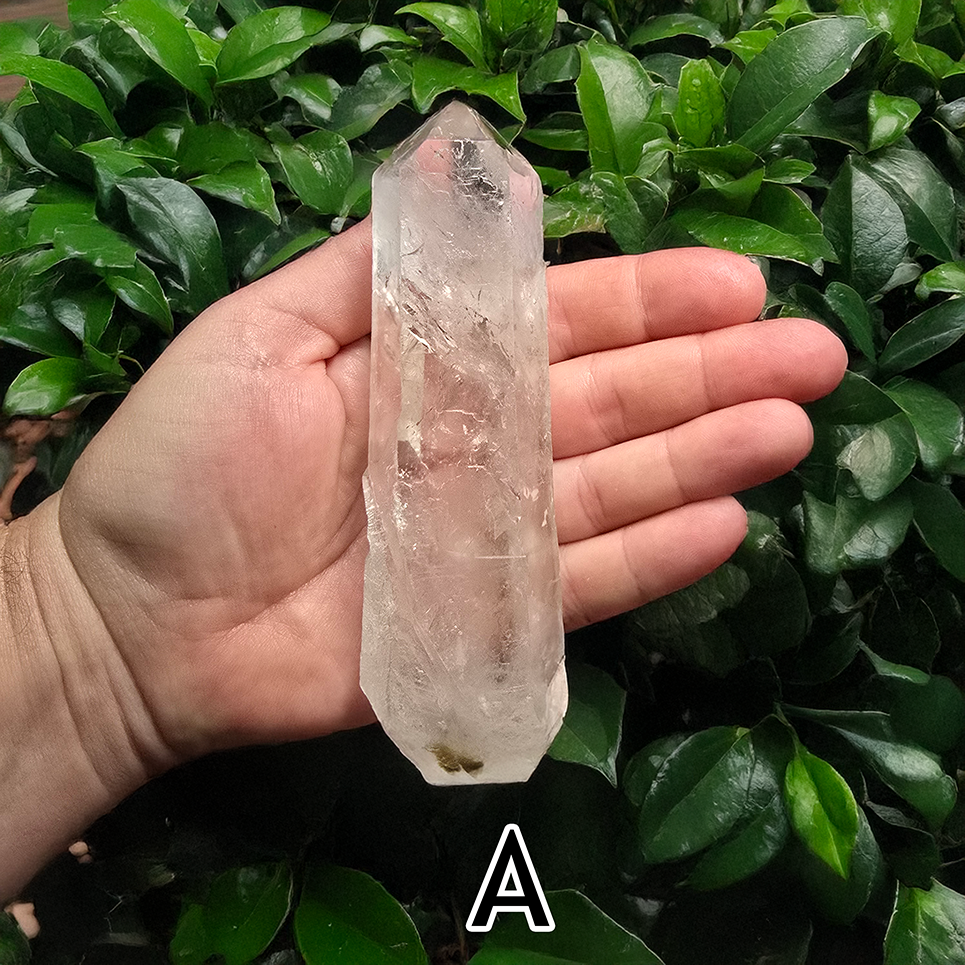 Clear Quartz Crystal Points - Large - Southwest Crystals