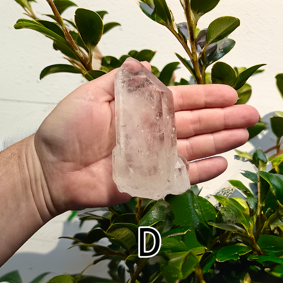 Clear Quartz Crystal Points - Large - Southwest Crystals
